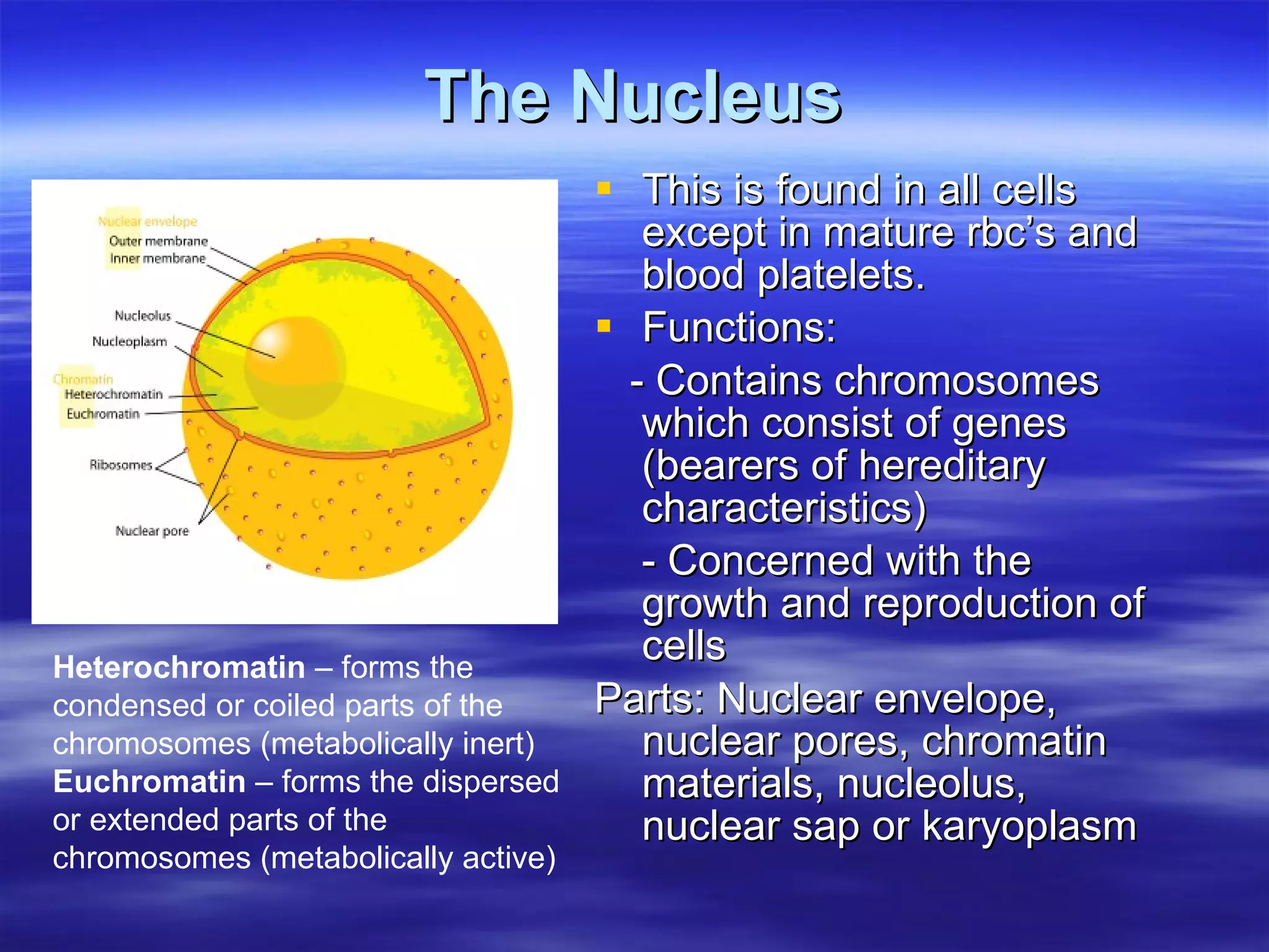Lecture1 a gen physiology | PPT