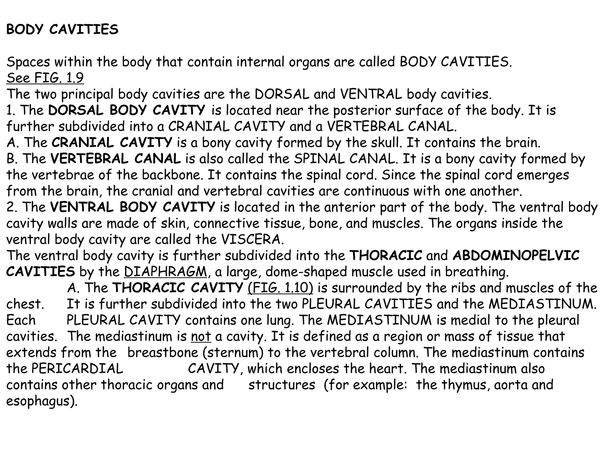 Lecture 1 Anatomy and physiology Introduction | PPTX