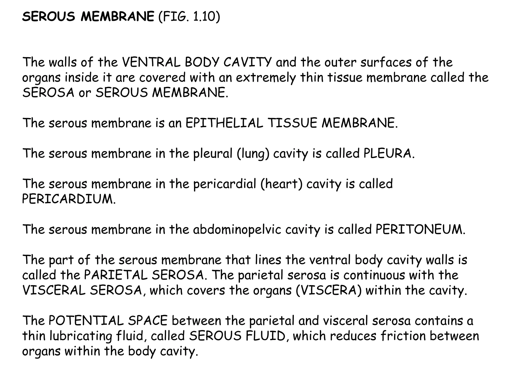 Lecture 1 Anatomy and physiology Introduction | PPTX