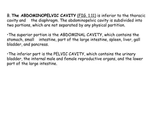 Lecture 1 Anatomy and physiology Introduction | PPTX