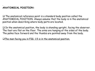 Lecture 1 Anatomy and physiology Introduction | PPTX