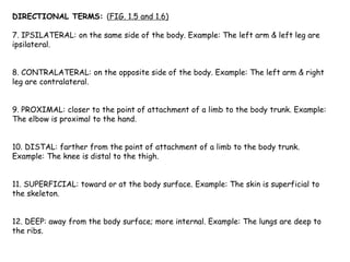 Lecture 1 Anatomy and physiology Introduction | PPTX