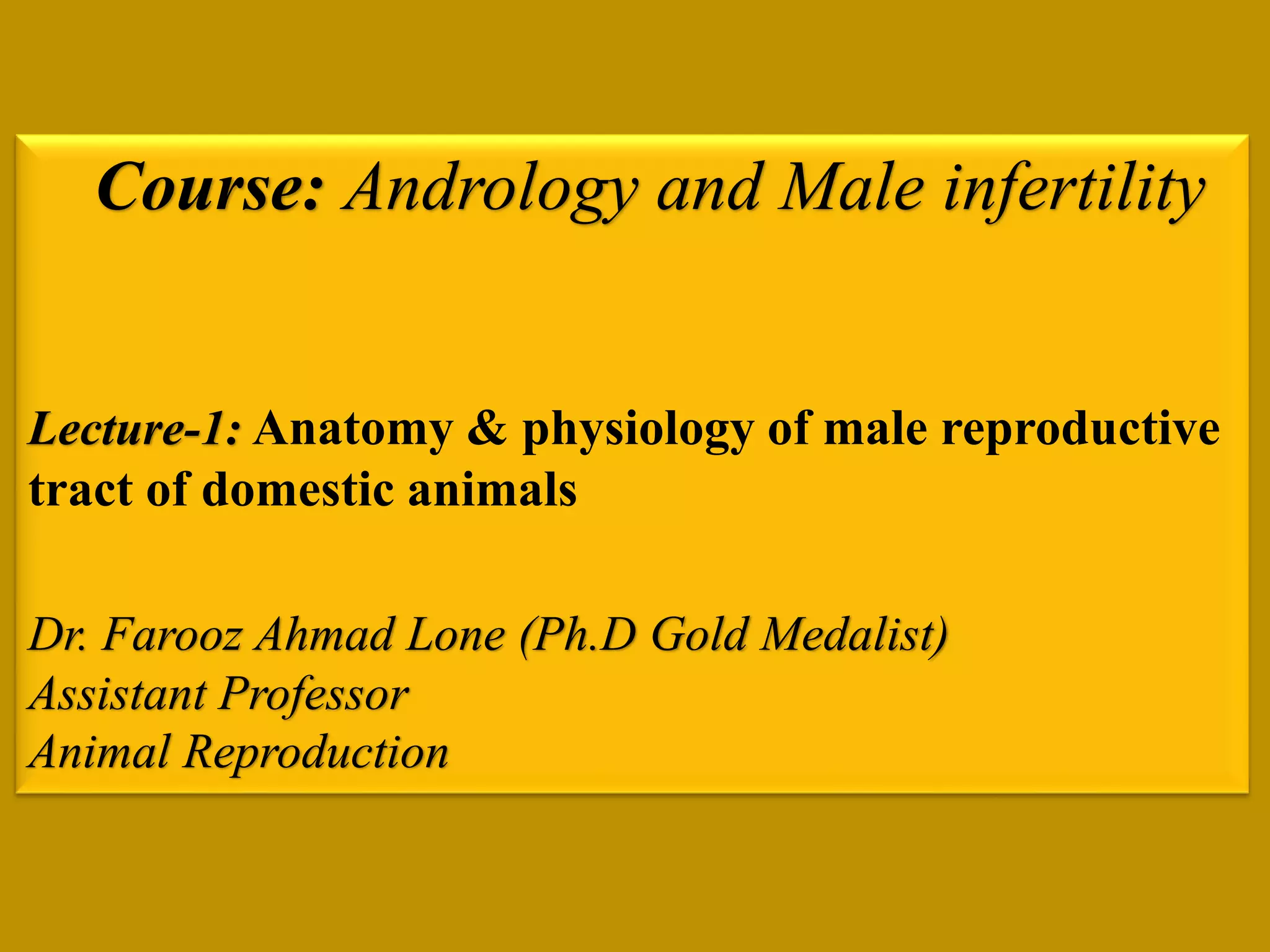 Lecture 1 Anatomy & physiology of male reproductive tract of domestic ...