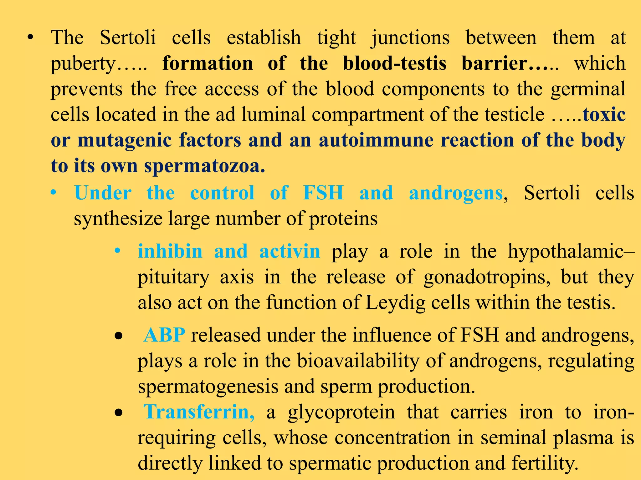 Lecture 1 Anatomy & physiology of male reproductive tract of domestic ...