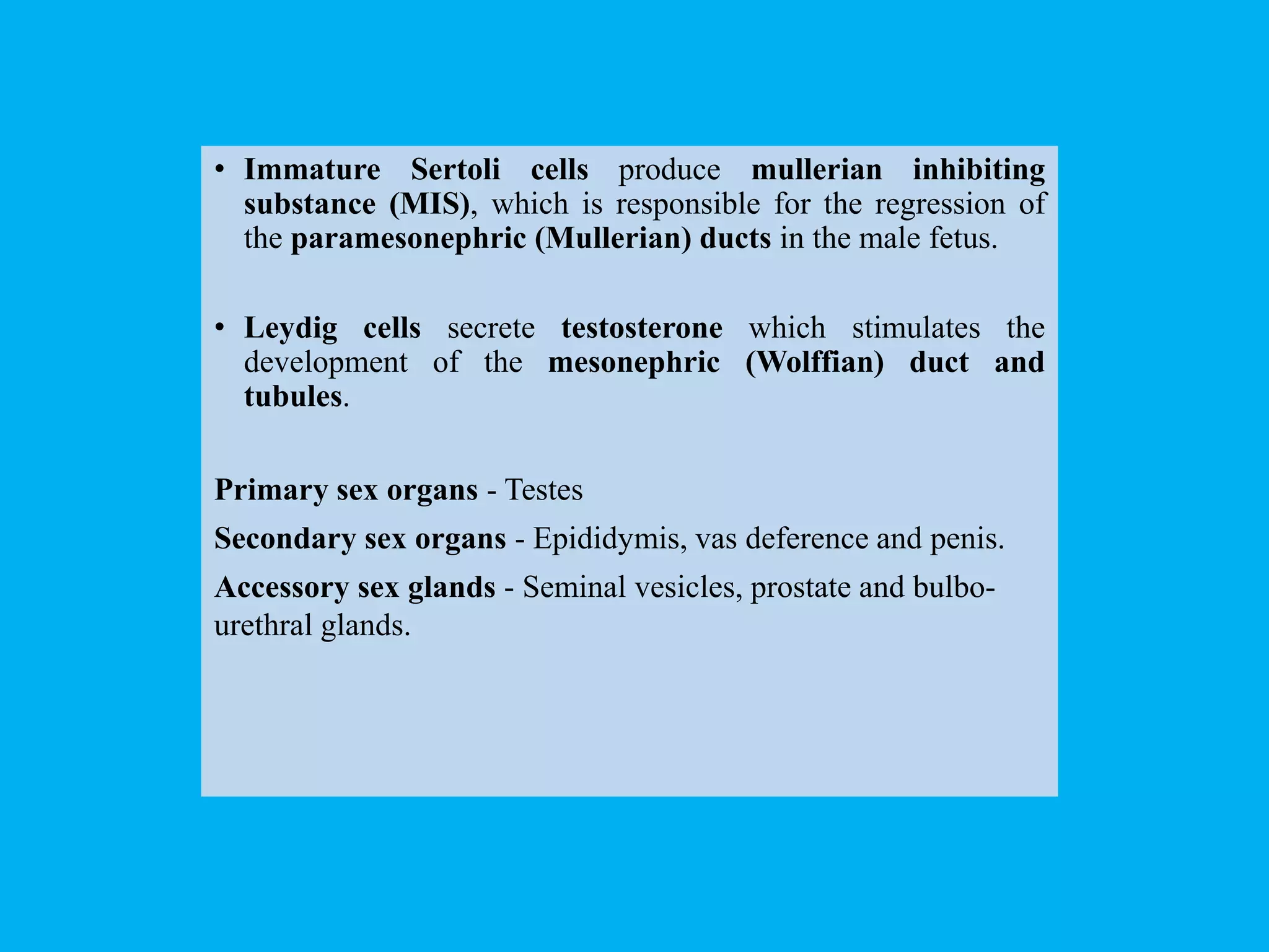 Lecture 1 Anatomy & physiology of male reproductive tract of domestic ...