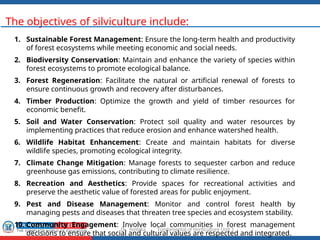 FORESTRY ITS TYPES AND ITS IMPORTSNCE IN AGRICULTURE | PPTX