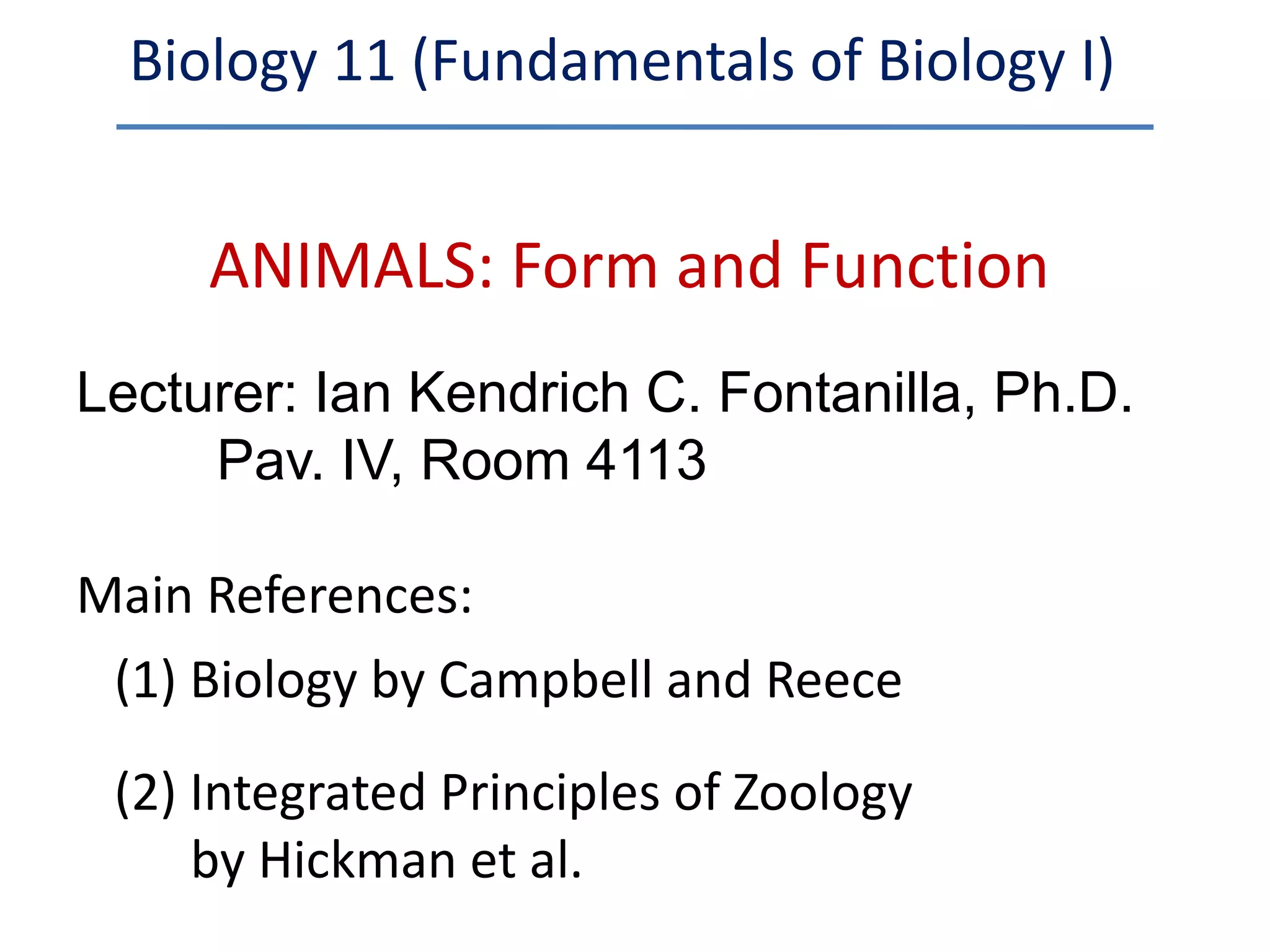 Biology 11 Lecture on Animal Form and Function | PPT