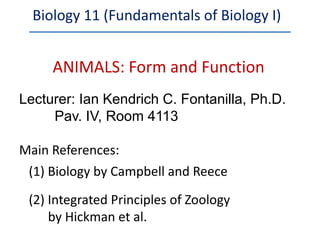 Biology 11 Lecture on Animal Form and Function | PPT