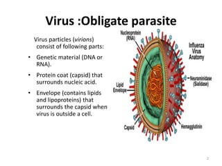 Lecture 1 anti viral agents | PPTX | Infectious Diseases | Diseases and ...