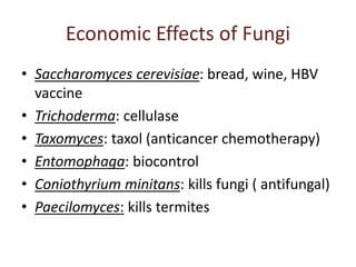 Lecture 1 Basic Mycology.pptx