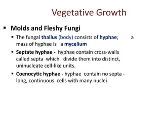 Lecture 1 Basic Mycology.pptx