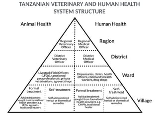 LECTURE 1 BASIC VETERINARY PHARMACOLOGY.pptx