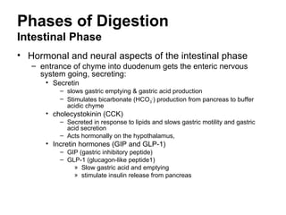 LECTURE 1b DIGESTIVE SYSTEM for medical.ppt