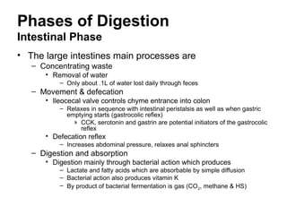 LECTURE 1b DIGESTIVE SYSTEM for medical.ppt