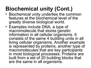 Lecture 1 biochemistry introduction | PPT