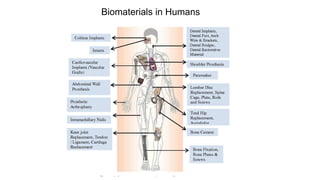 Lecture 1 biomaterials | PPTX