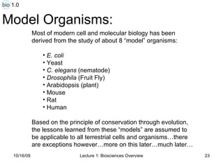 Lecture 1 Bioscience Overview 1062009 | PPT