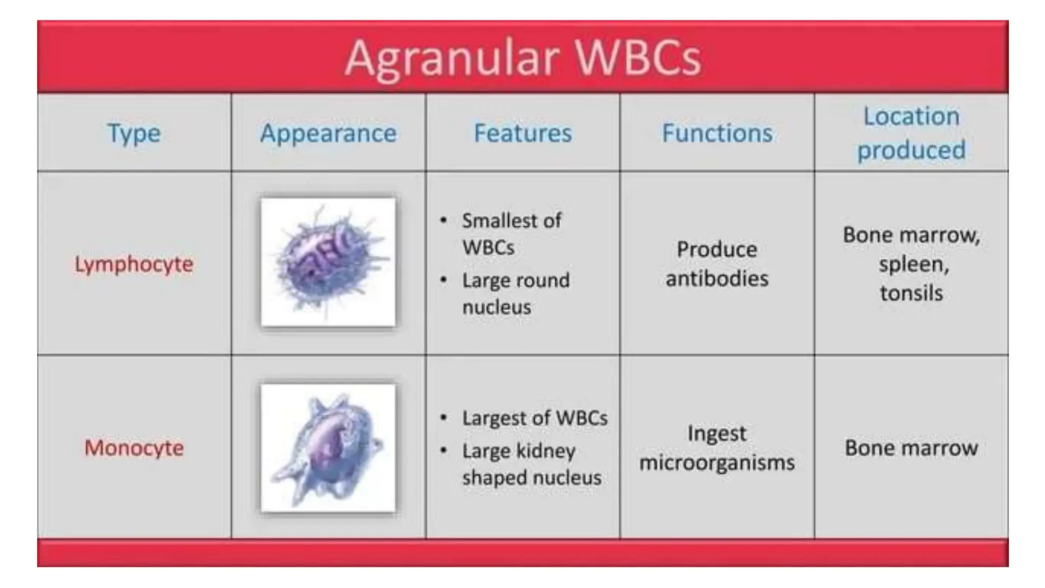 Lecture 1 Blood Physical Characteristics and Components of Blood Origin ...