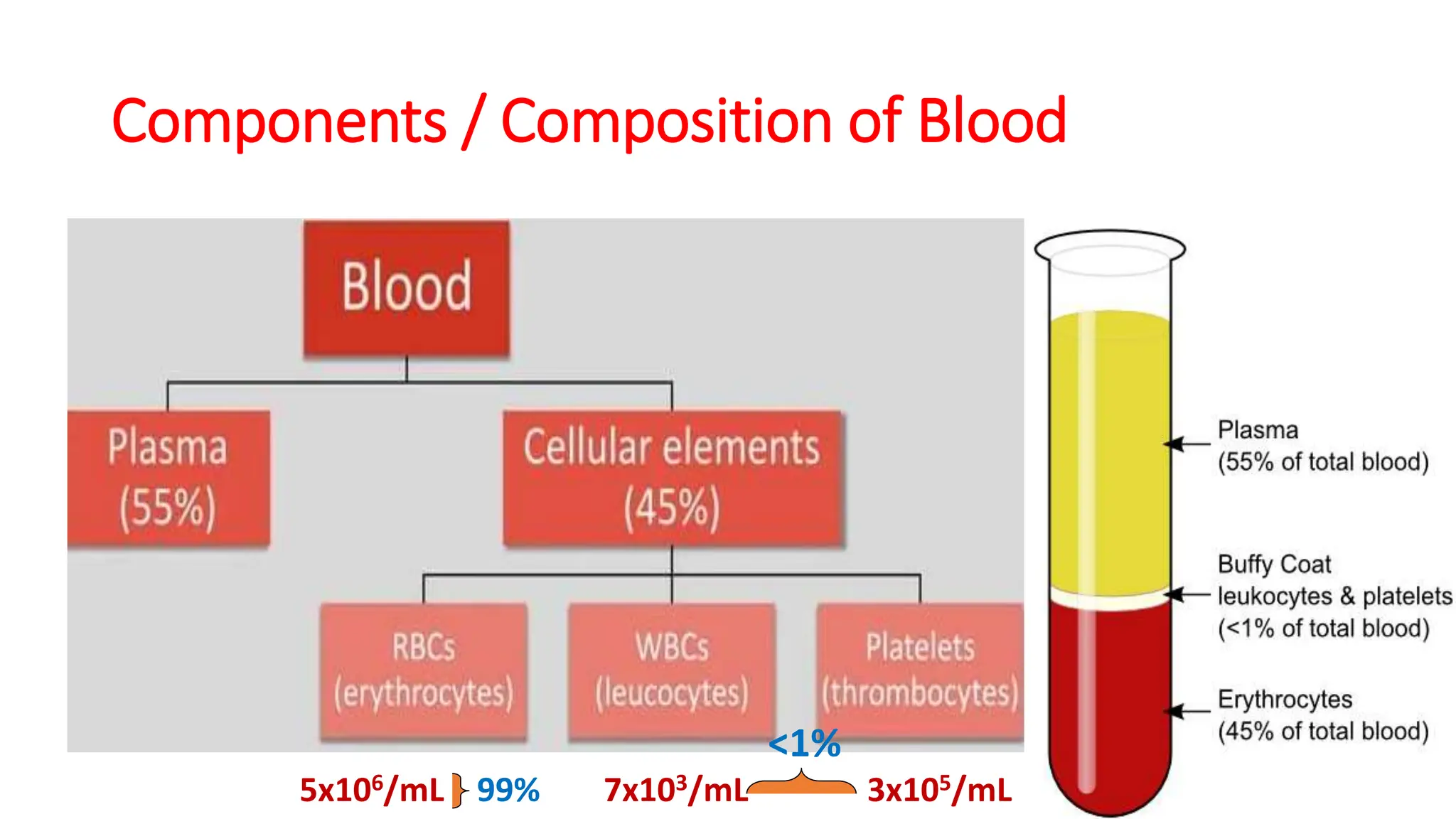 Lecture 1 Blood Physical Characteristics and Components of Blood Origin ...