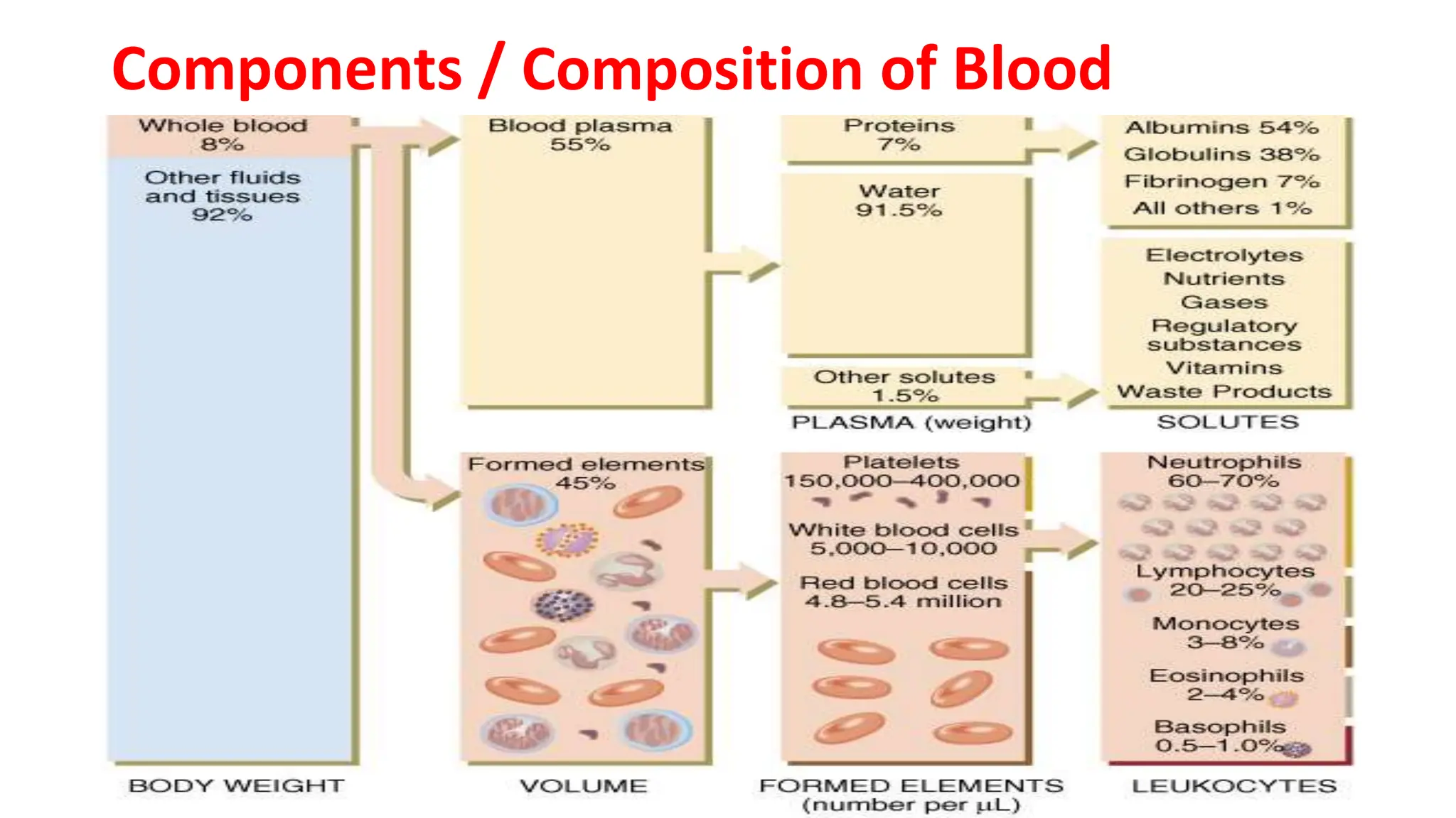 Lecture 1 Blood Physical Characteristics and Components of Blood Origin ...