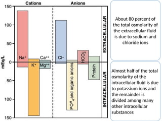 LECTURE 1: TOTAL BODY FLUIDS & EDEMA.pptx