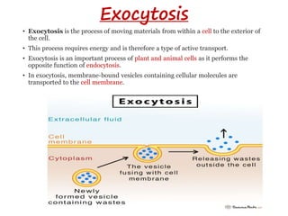 Lecture 1 By Hari Yadav Endomembrane system b.sc. 1 sem-.pptx