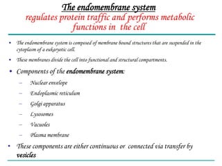 Lecture 1 By Hari Yadav Endomembrane system b.sc. 1 sem-.pptx