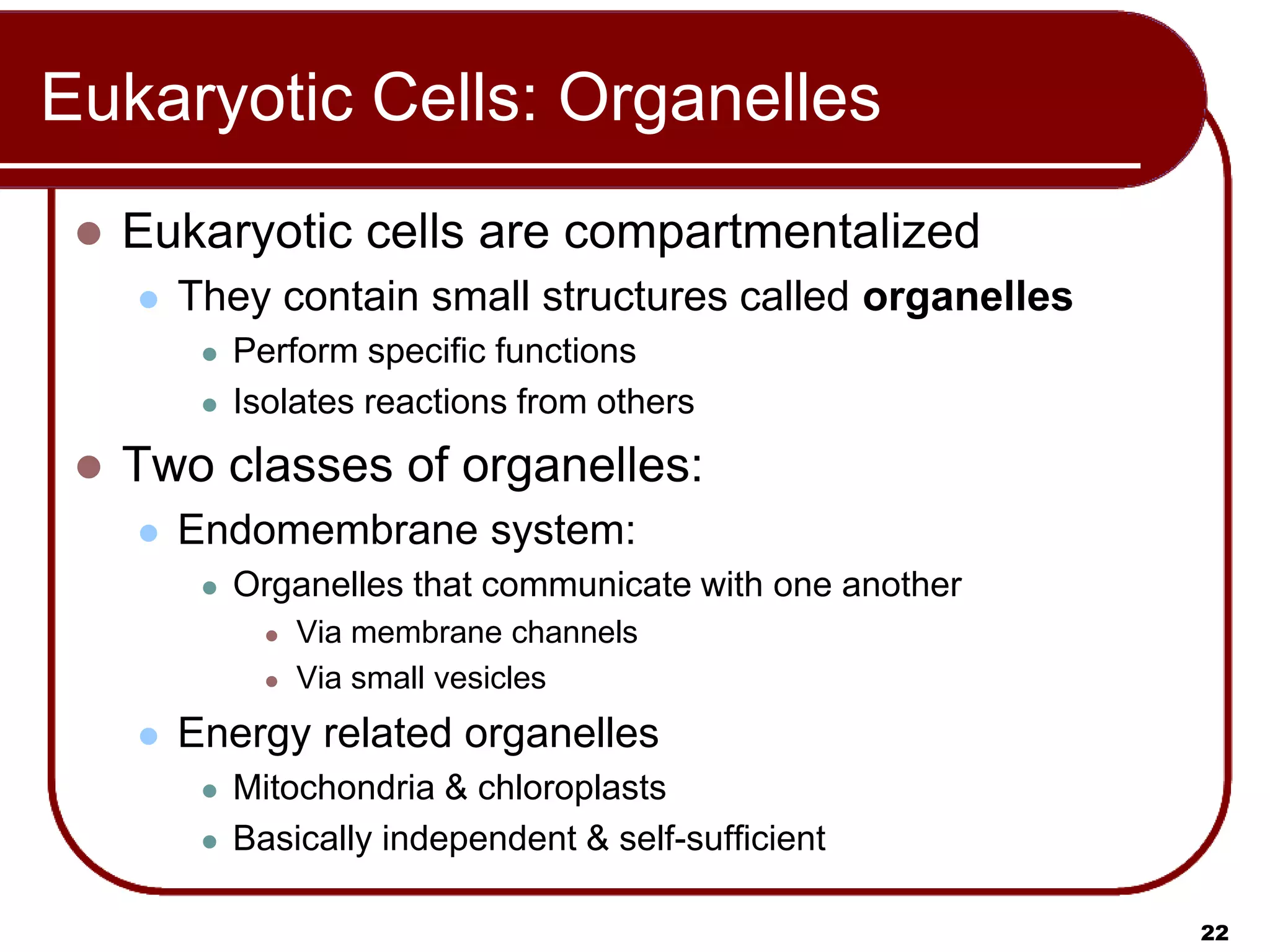 Lecture 1 Cell.ppt