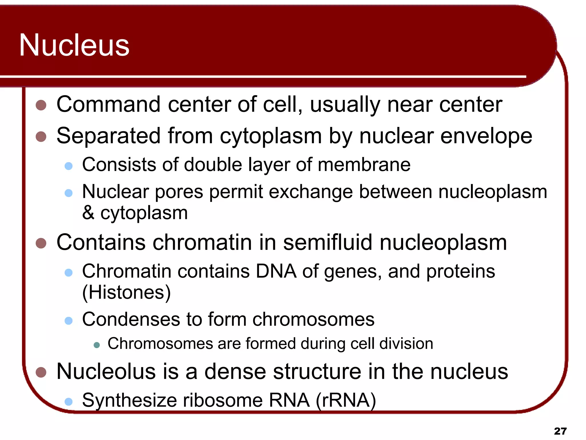 Lecture 1 Cell.ppt
