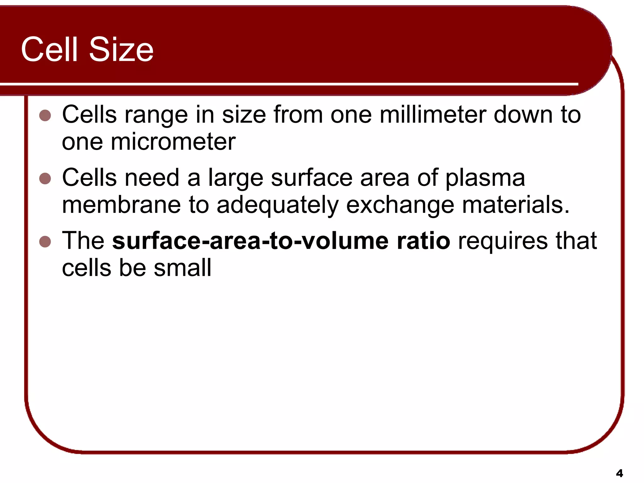 Lecture 1 Cell.ppt