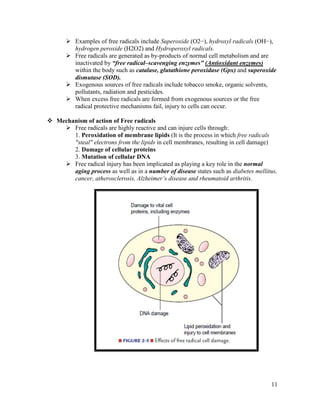 Pathology - Cell Injury | PDF