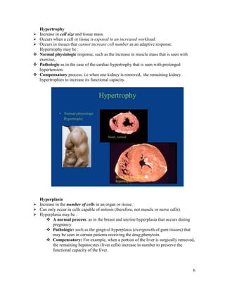 Pathology - Cell Injury | PDF