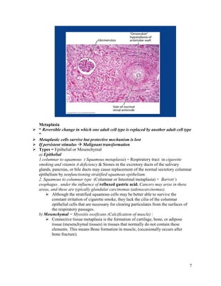 Pathology - Cell Injury | PDF