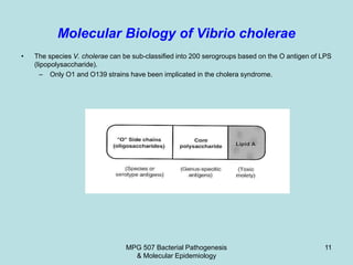 Lecture 1 (Cholera).ppt 507.ppt