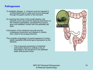 Lecture 1 (Cholera).ppt 507.ppt