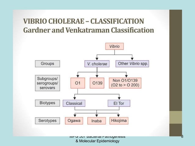 Lecture 1 (Cholera).ppt 507.ppt