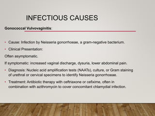 lecture 1 Clinical anatomy of the reproductive tract ,vulvovaginitis.pptx
