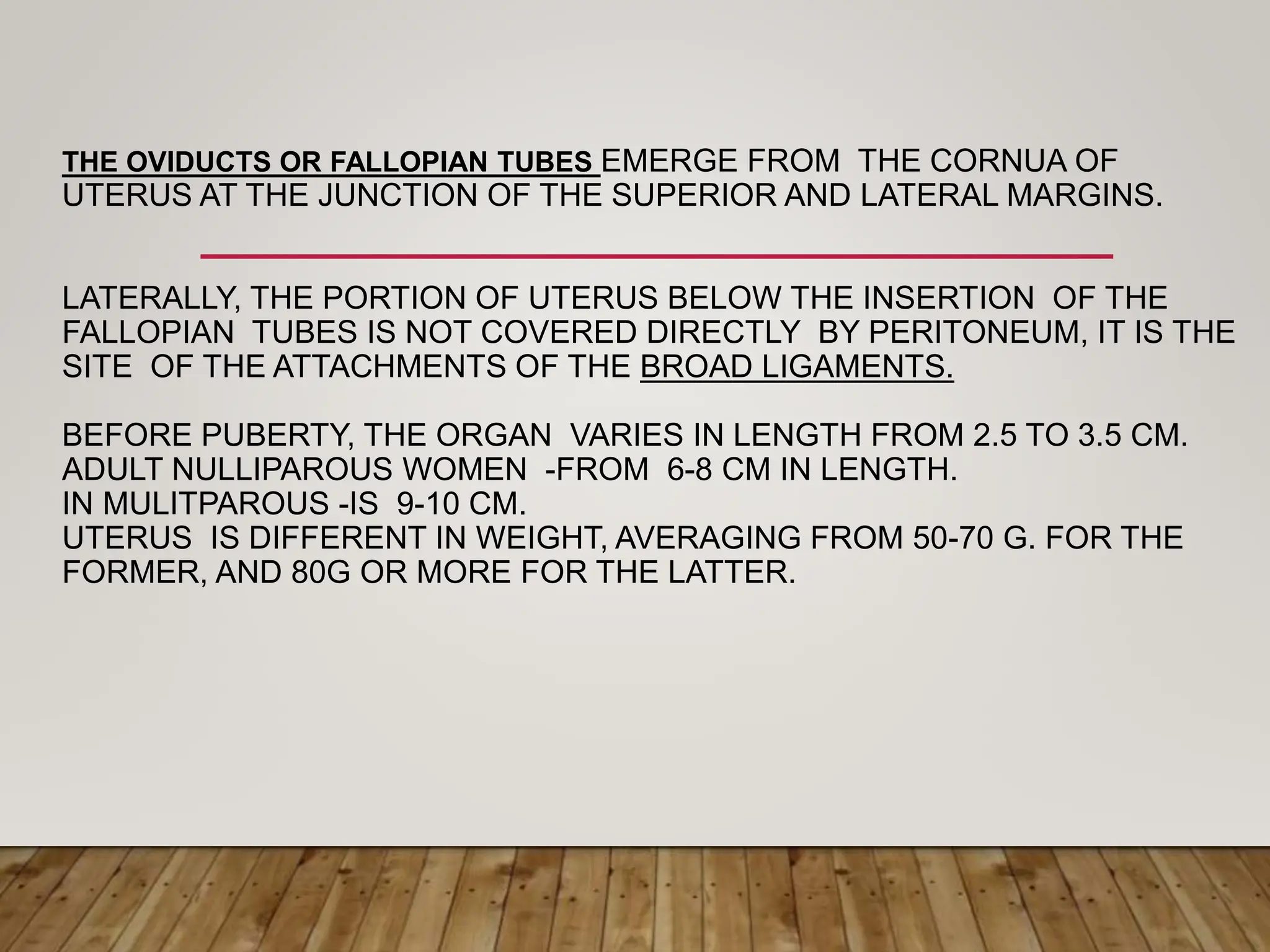 lecture 1 Clinical anatomy of the reproductive tract ,vulvovaginitis (1 ...