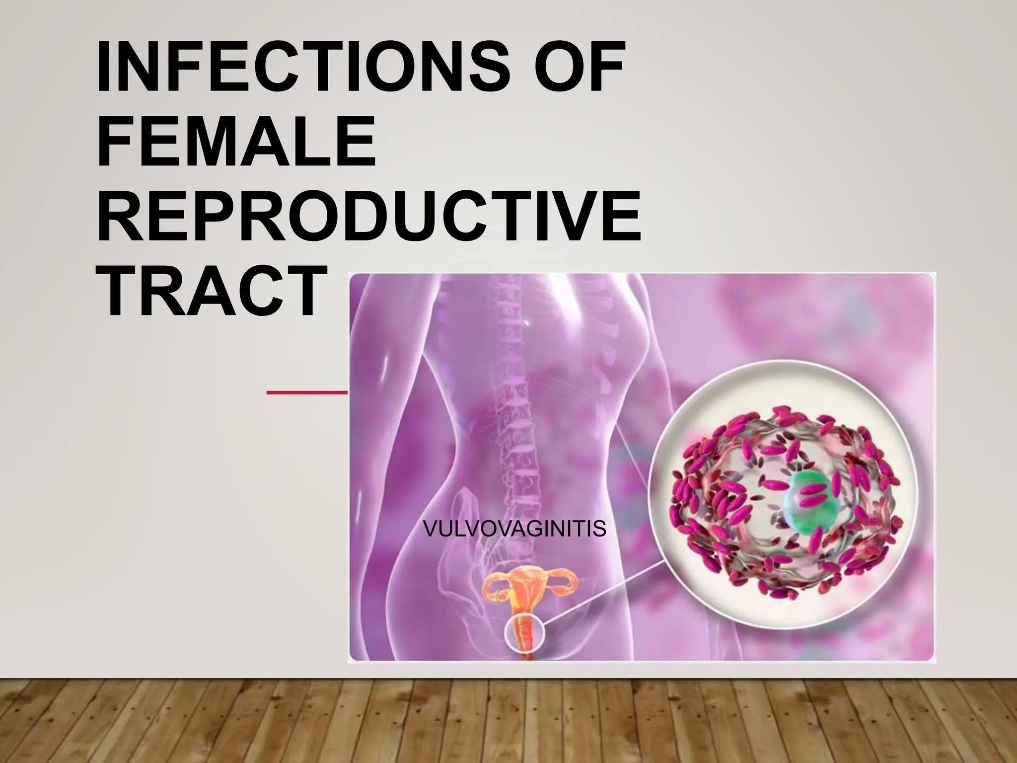 lecture 1 Clinical anatomy of the reproductive tract ,vulvovaginitis (1).pptx