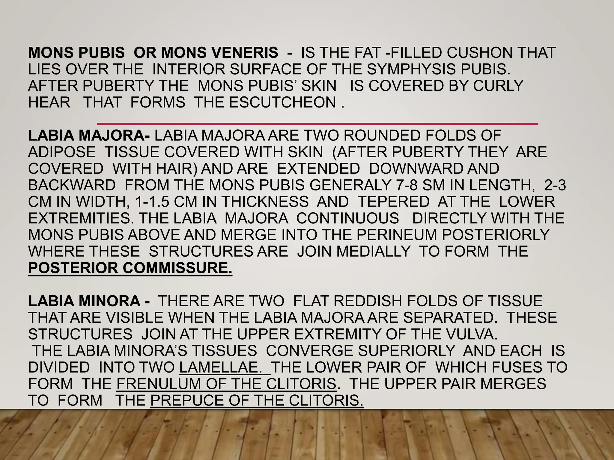 lecture 1 Clinical anatomy of the reproductive tract ,vulvovaginitis (1 ...