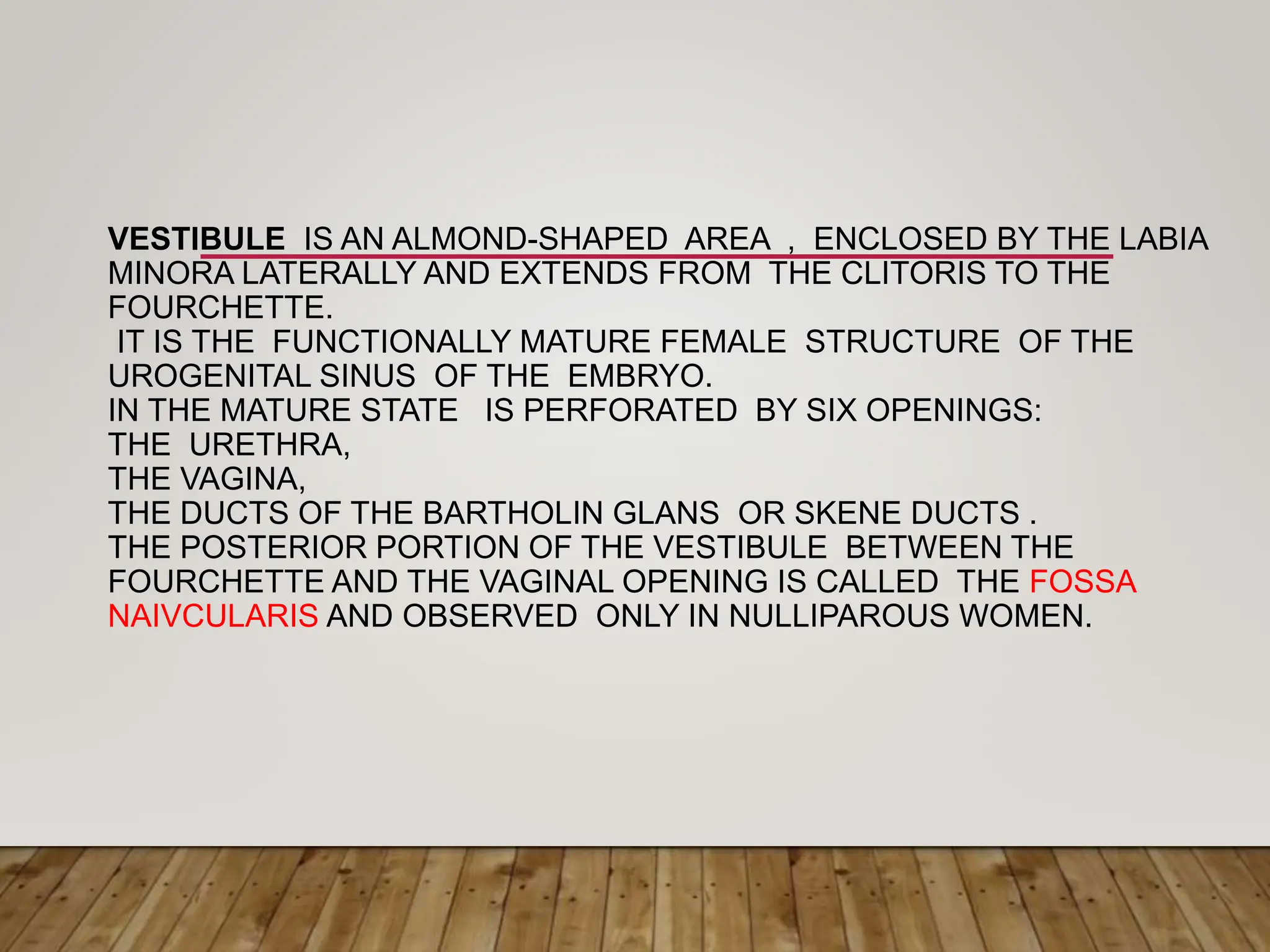 lecture 1 Clinical anatomy of the reproductive tract ,vulvovaginitis (1 ...