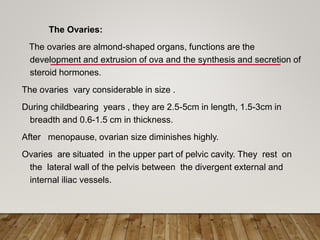 lecture 1 Clinical anatomy of the reproductive tract ,vulvovaginitis (1 ...