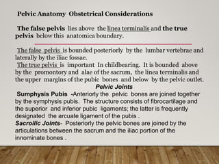 lecture 1 Clinical anatomy of the reproductive tract ,vulvovaginitis (1 ...