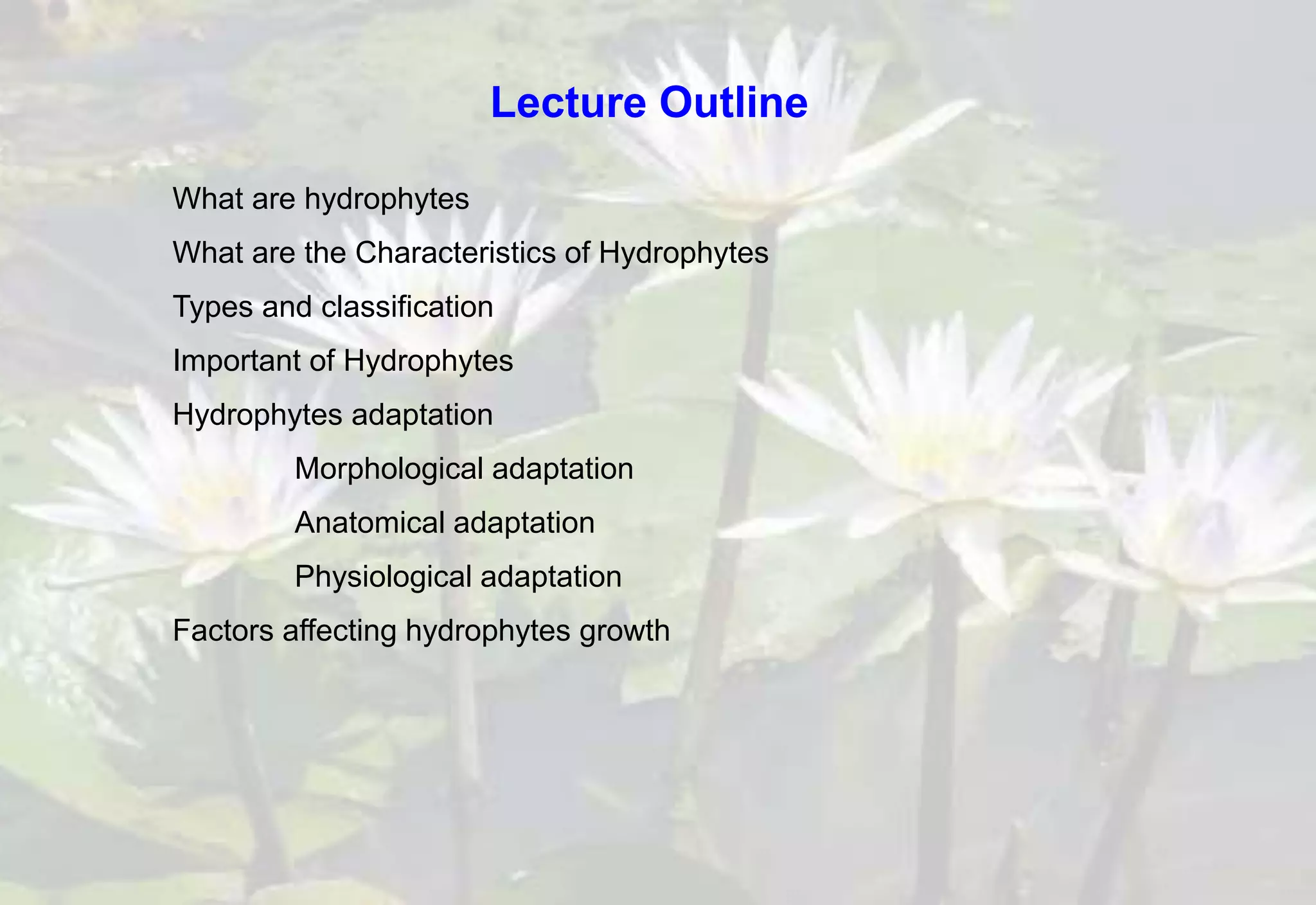 Lecture 1 definition, classification of marine hydrophytes | PPTX