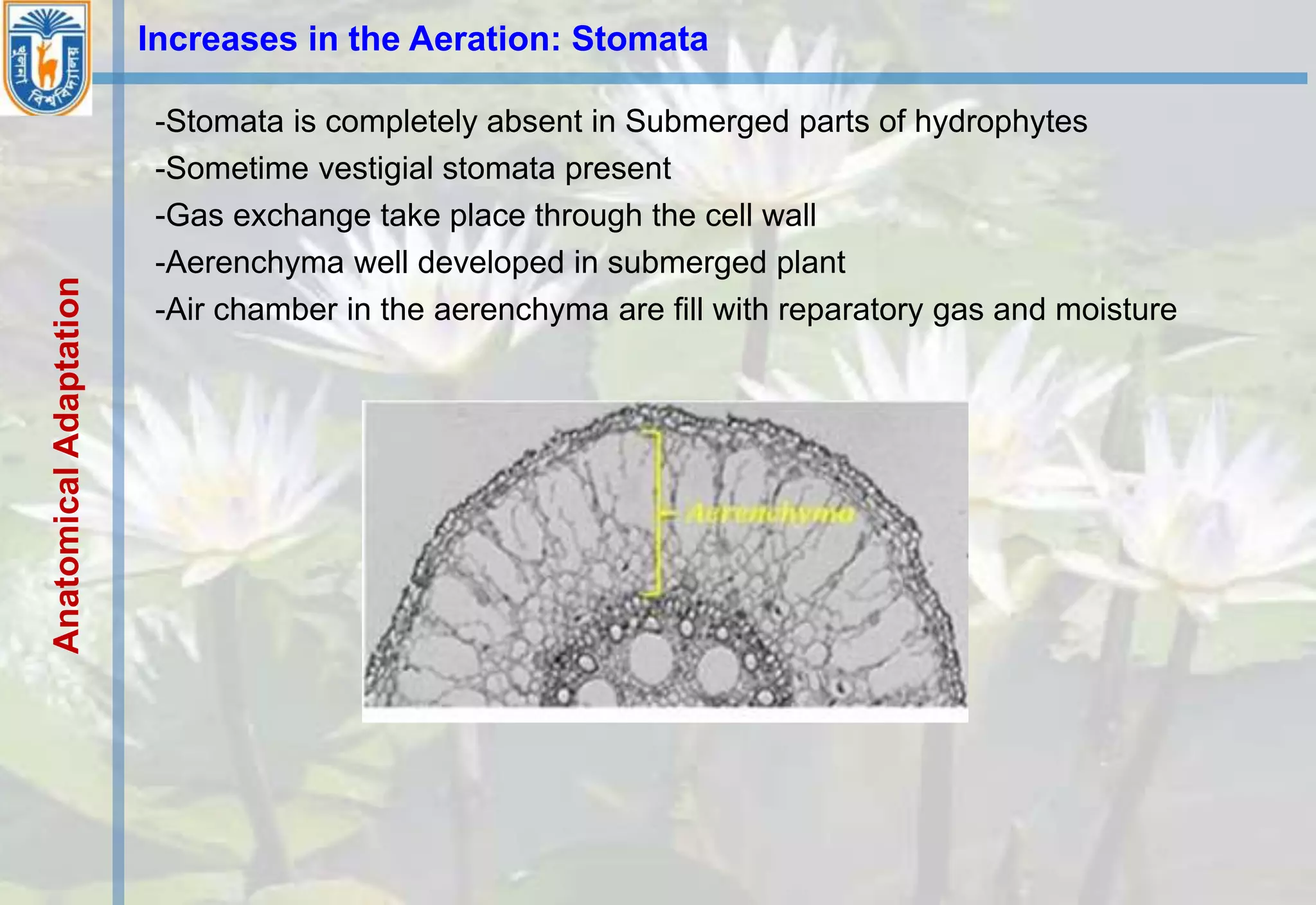 Lecture 1 definition, classification of marine hydrophytes | PPTX