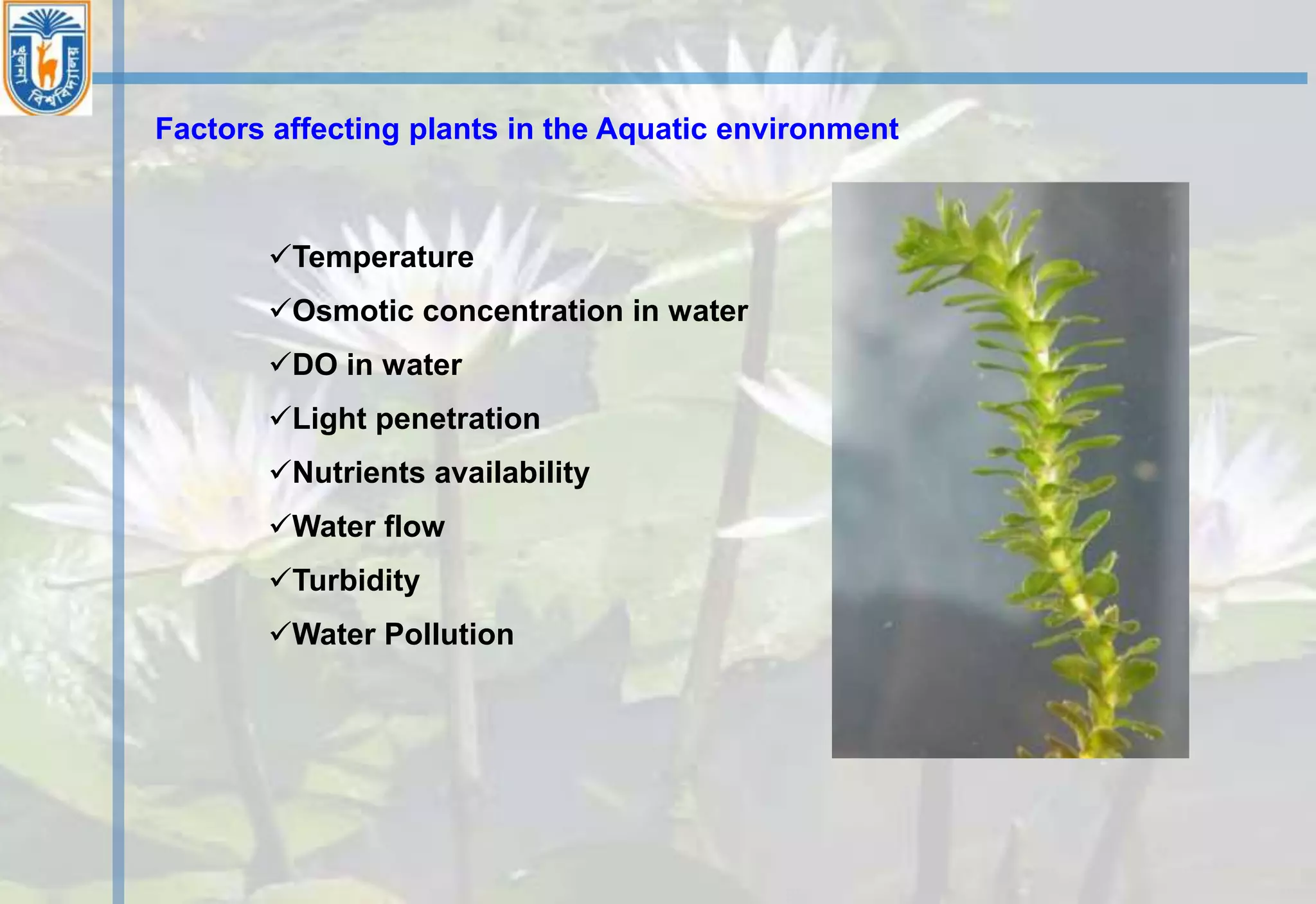 Lecture 1 definition, classification of marine hydrophytes | PPTX