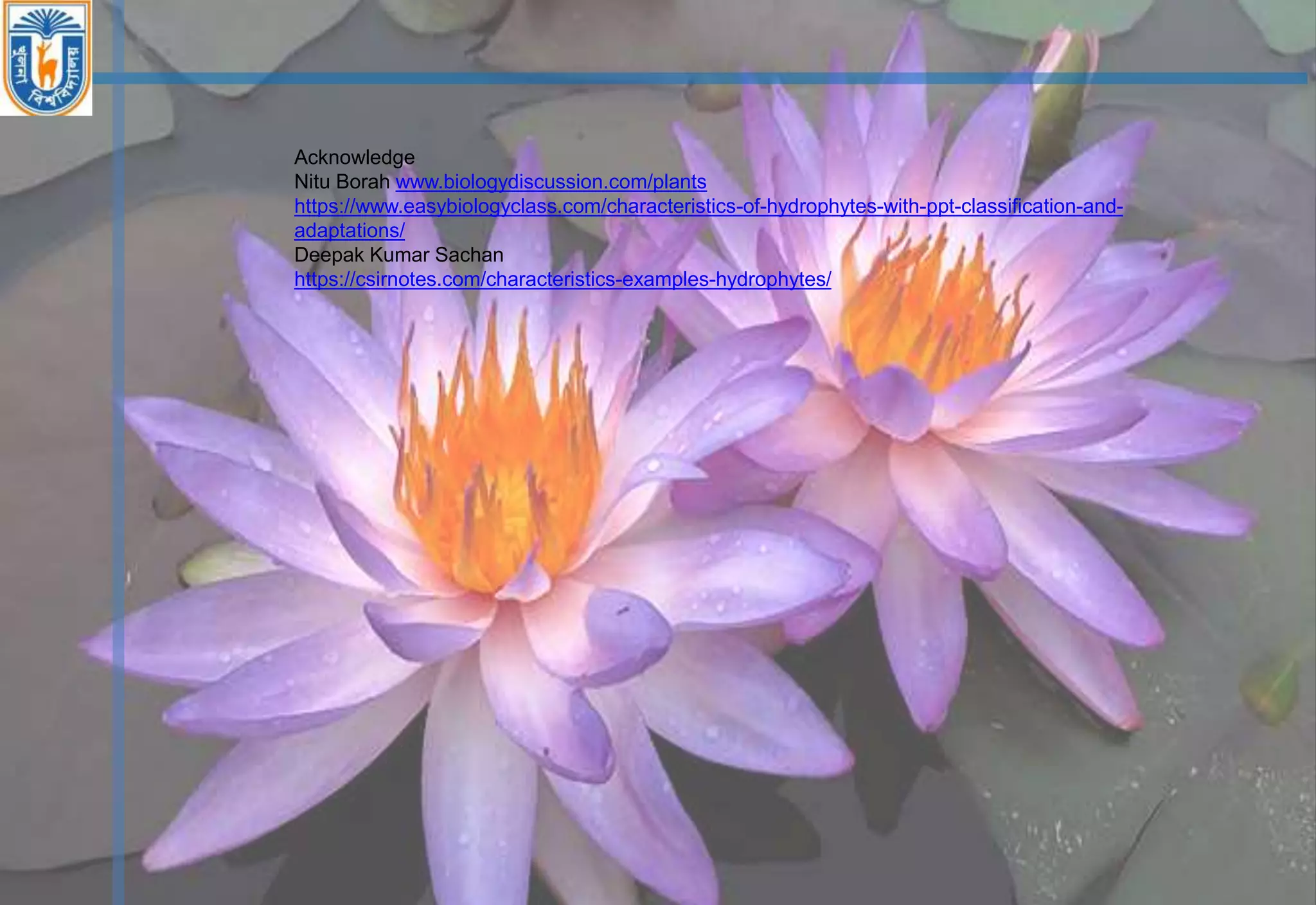 Lecture 1 definition, classification of marine hydrophytes | PPTX