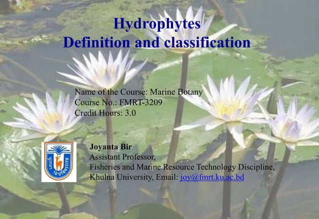 Lecture 1 definition, classification of marine hydrophytes | PPTX