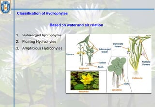 Lecture 1 definition, classification of marine hydrophytes | PPTX