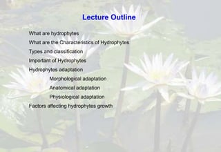 Lecture 1 definition, classification of marine hydrophytes | PPTX